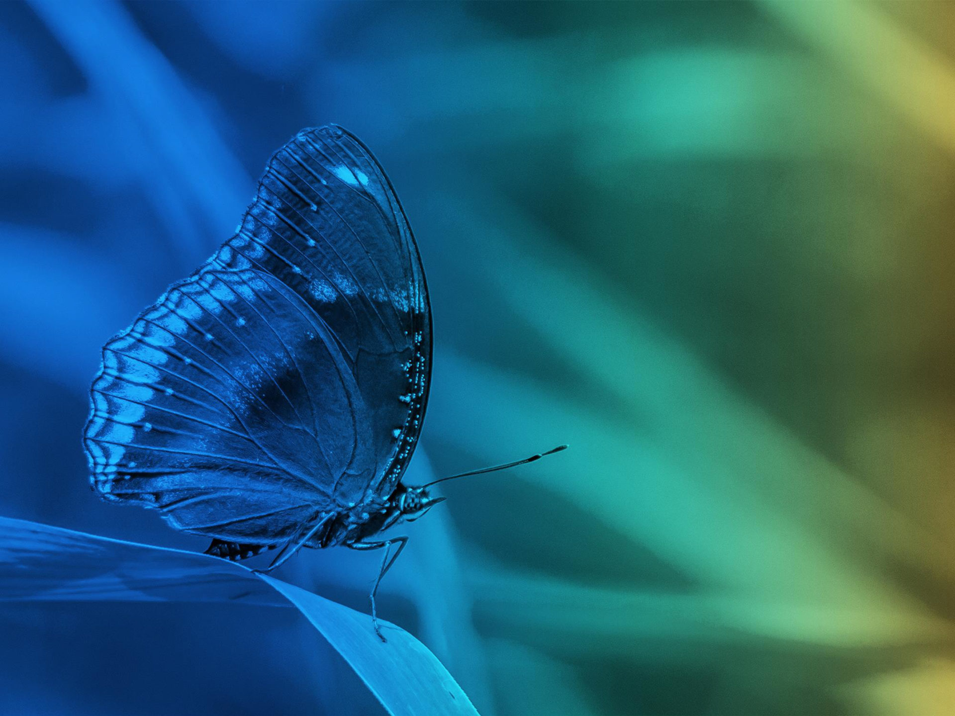 Innovative Cellular Therapeutics - Next Generation CAR-T